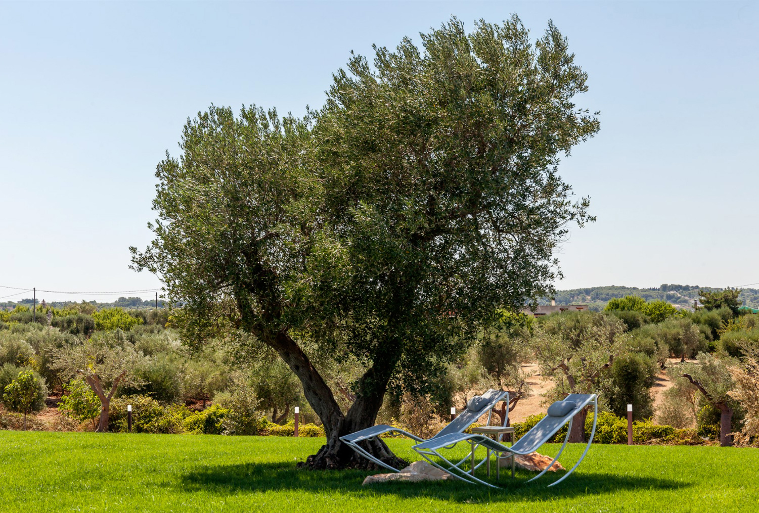 Trullo Fichimori Dolcefarniente | Aménagements extérieurs/intérieurs ...